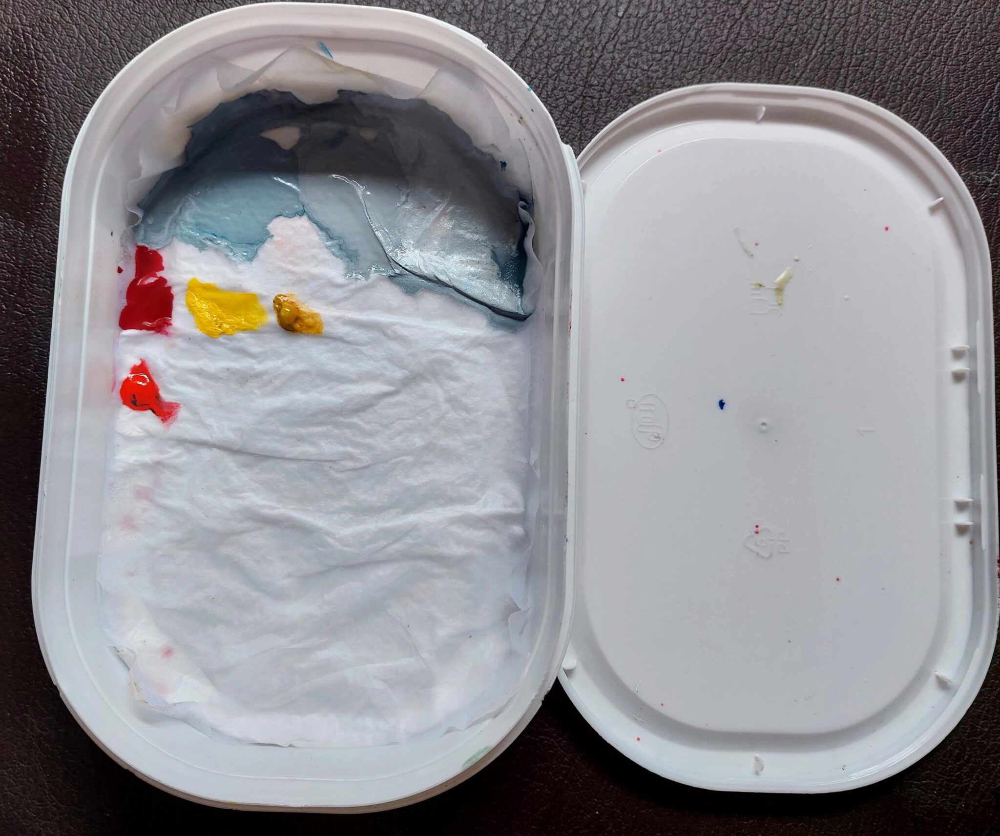 11 Best ways of saving acrylic paint for reusing